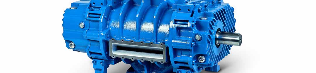 Robuschi PD Blowers | Fraserwoods