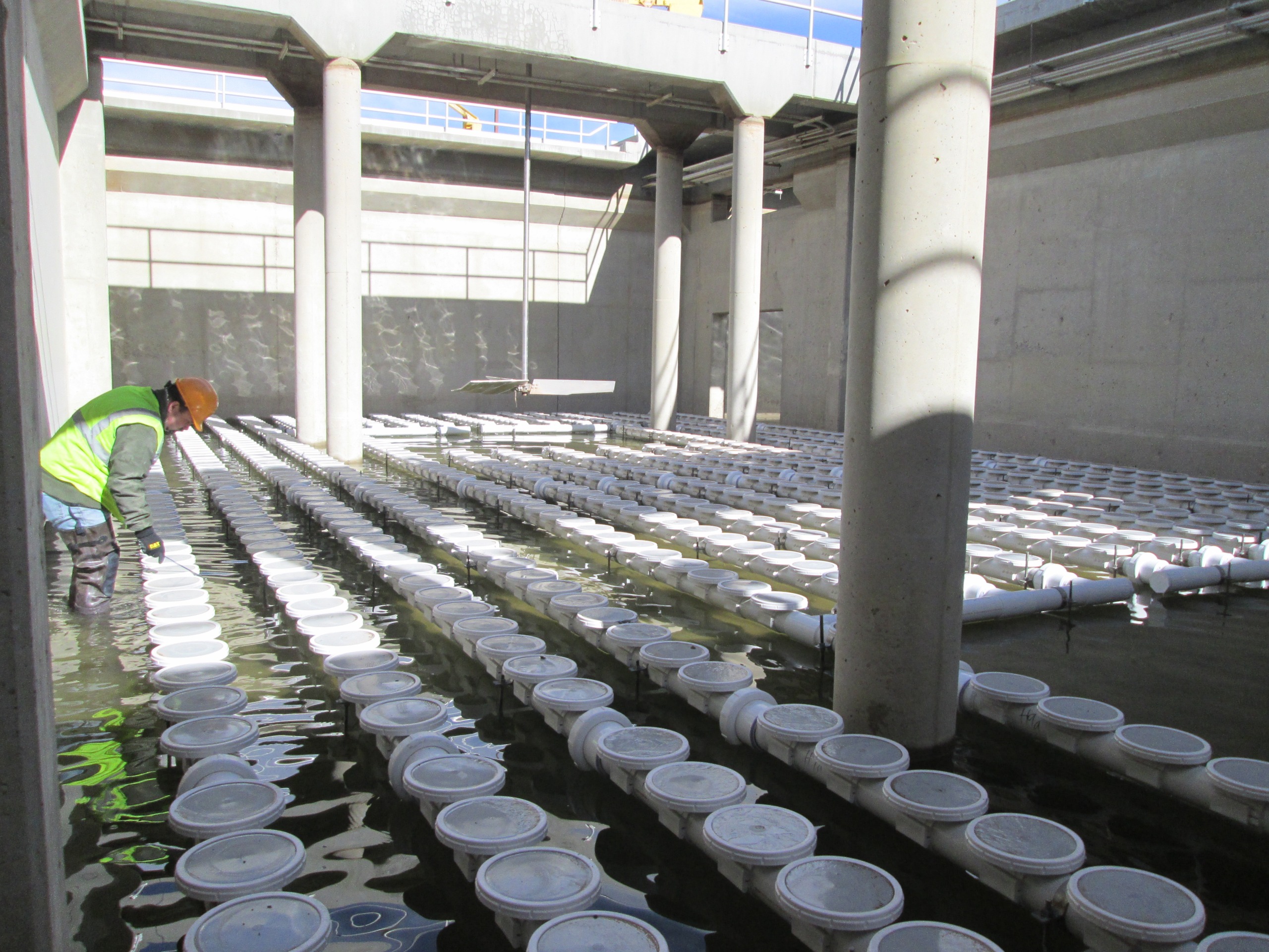 Biological Simulation For Aeration System Performance | SSI Aeration