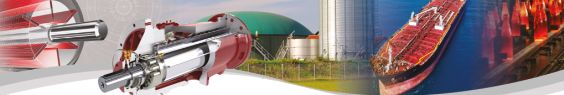 Rotary Vane Compressors and Compressed Solutions | Wittig