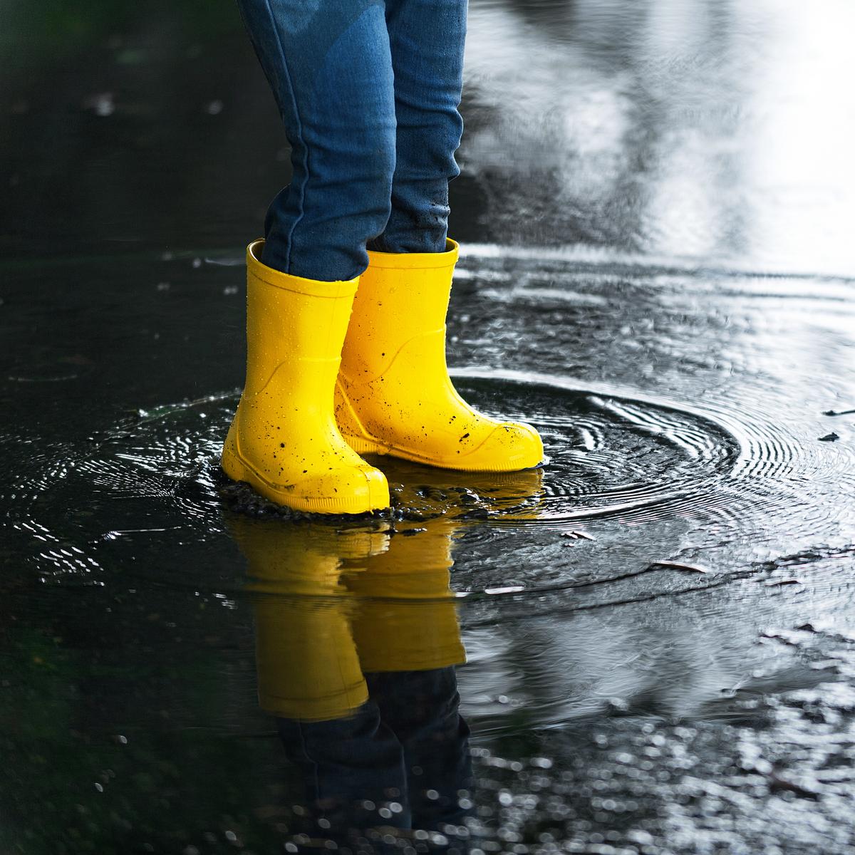 Submit Your Claim & Get Product Support with Assurant Help