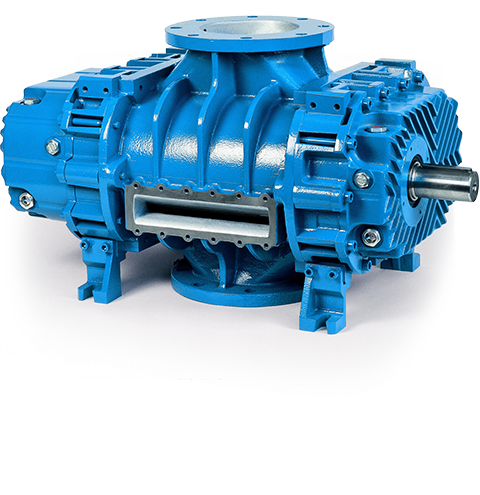 RB-DV | Vacuum Blowers Range| Robuschi