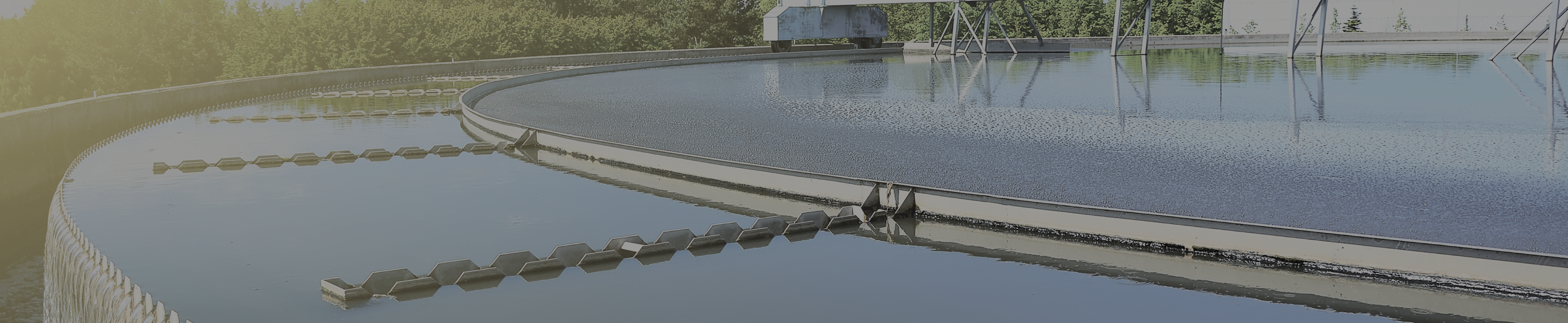 The Role of Primary Sedimentation Tanks