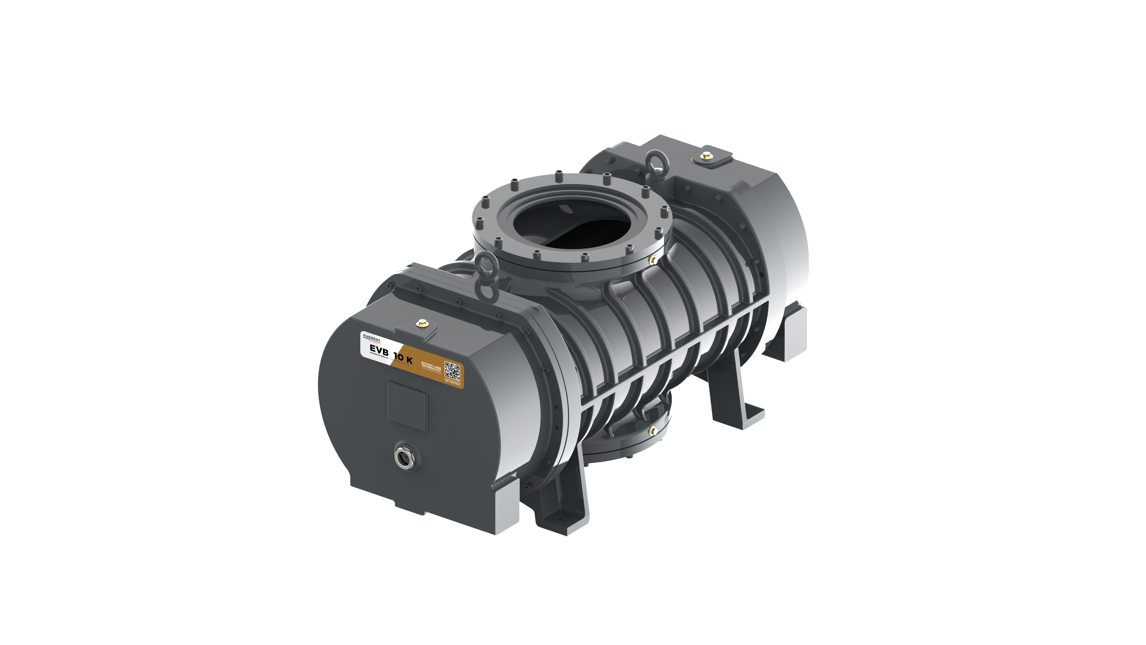 Mechanical Vacuum Booster | Everest Vacuum Pumps (Systems) | Everest
