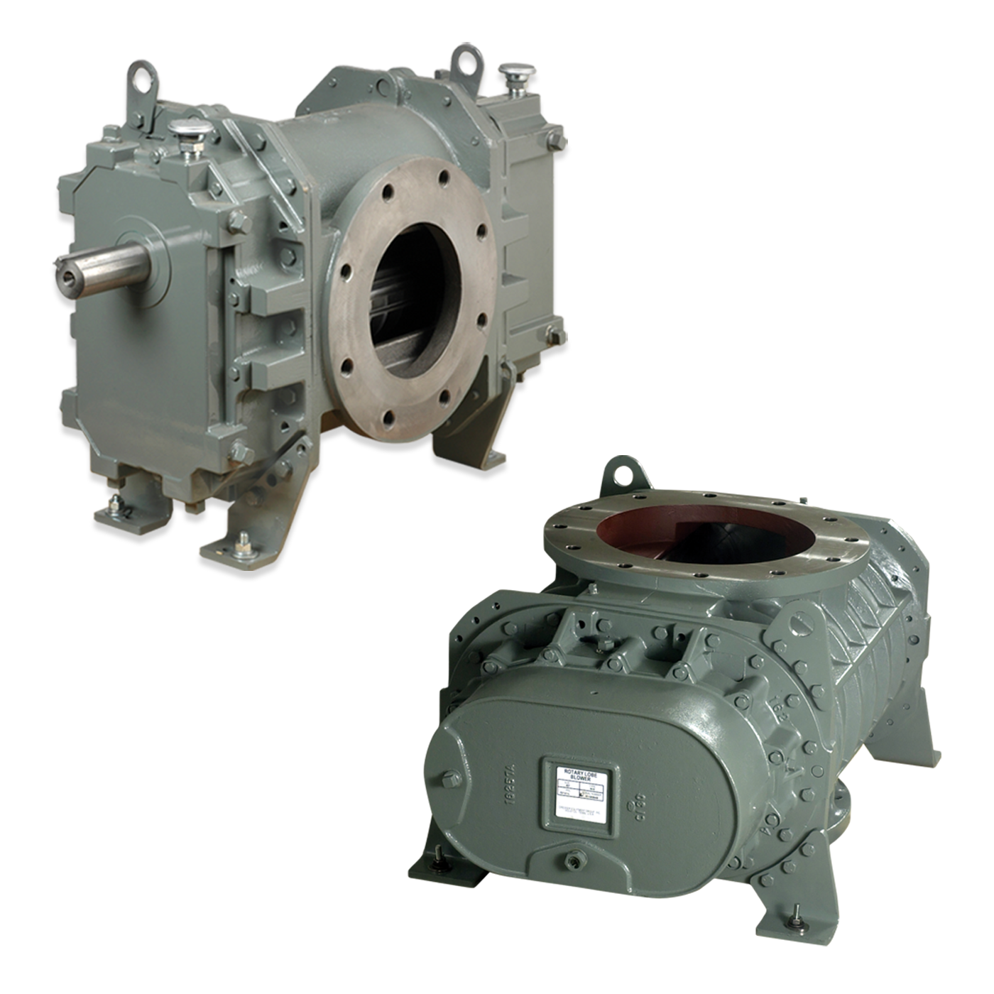 Positive Displacement Blowers