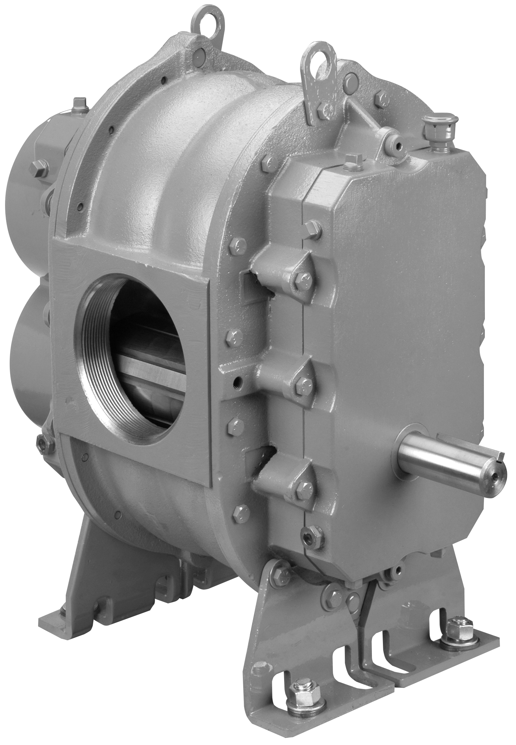 Universal RAI Dual Splash Lubricated (DSL) Blower | Roots® Blower